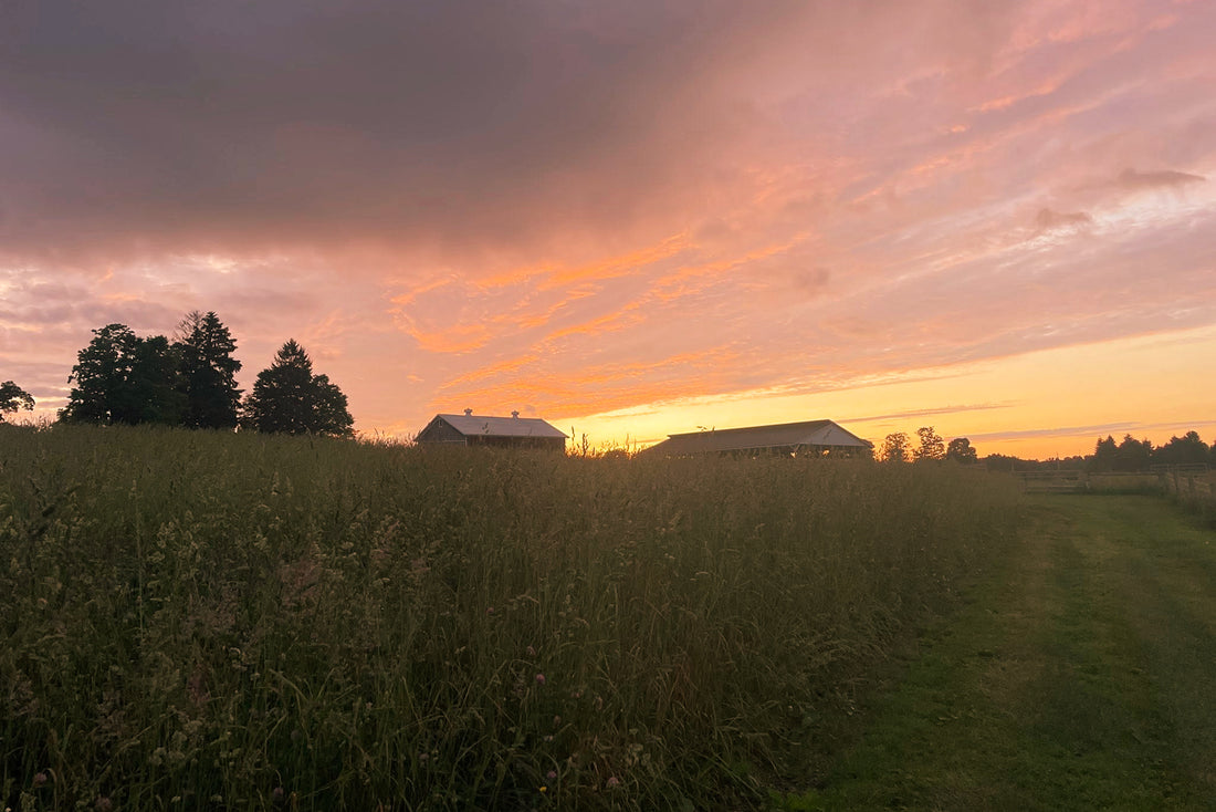 Photos From Farmstead Scattering Garden