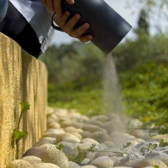 Human Ash Scattering Service | Farmstead Scattering Garden